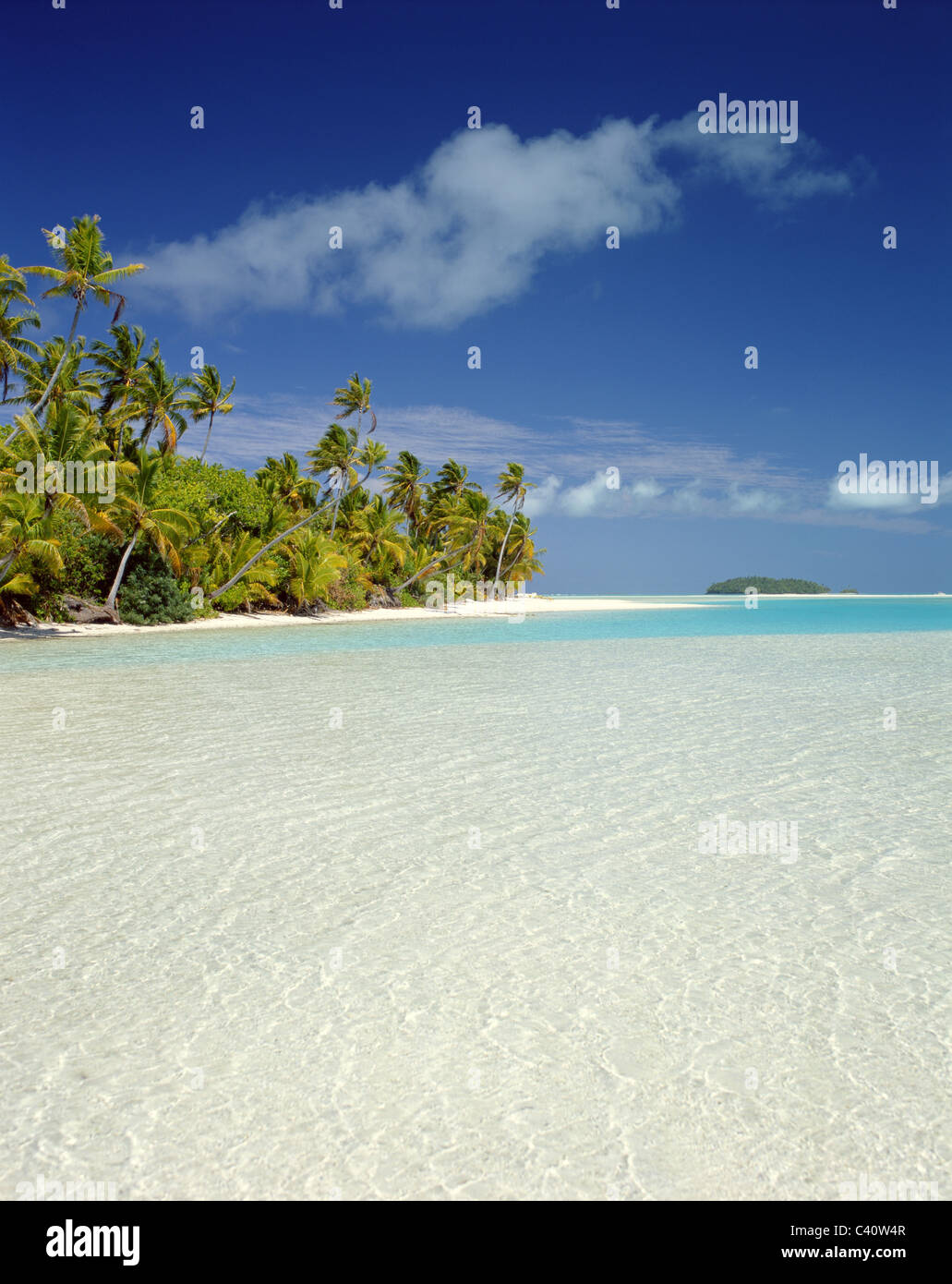 Aitutaki, Atoll, Beach, Cook islands, Holiday, Island, Landmark, Palm ...