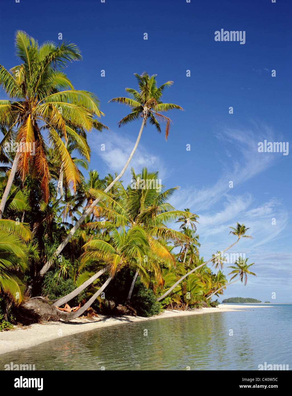 Aitutaki, Atoll, Beach, Cook islands, Holiday, Island, Landmark, Palm ...