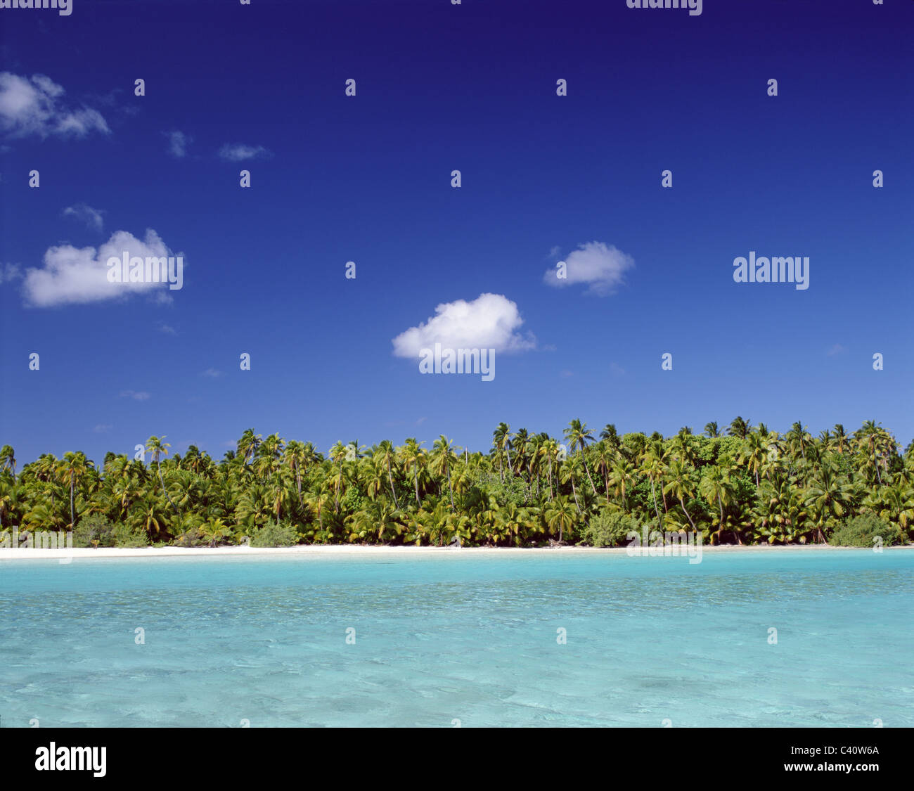 Aitutaki, Atoll, Beach, Cook islands, Holiday, Island, Landmark, Palm ...