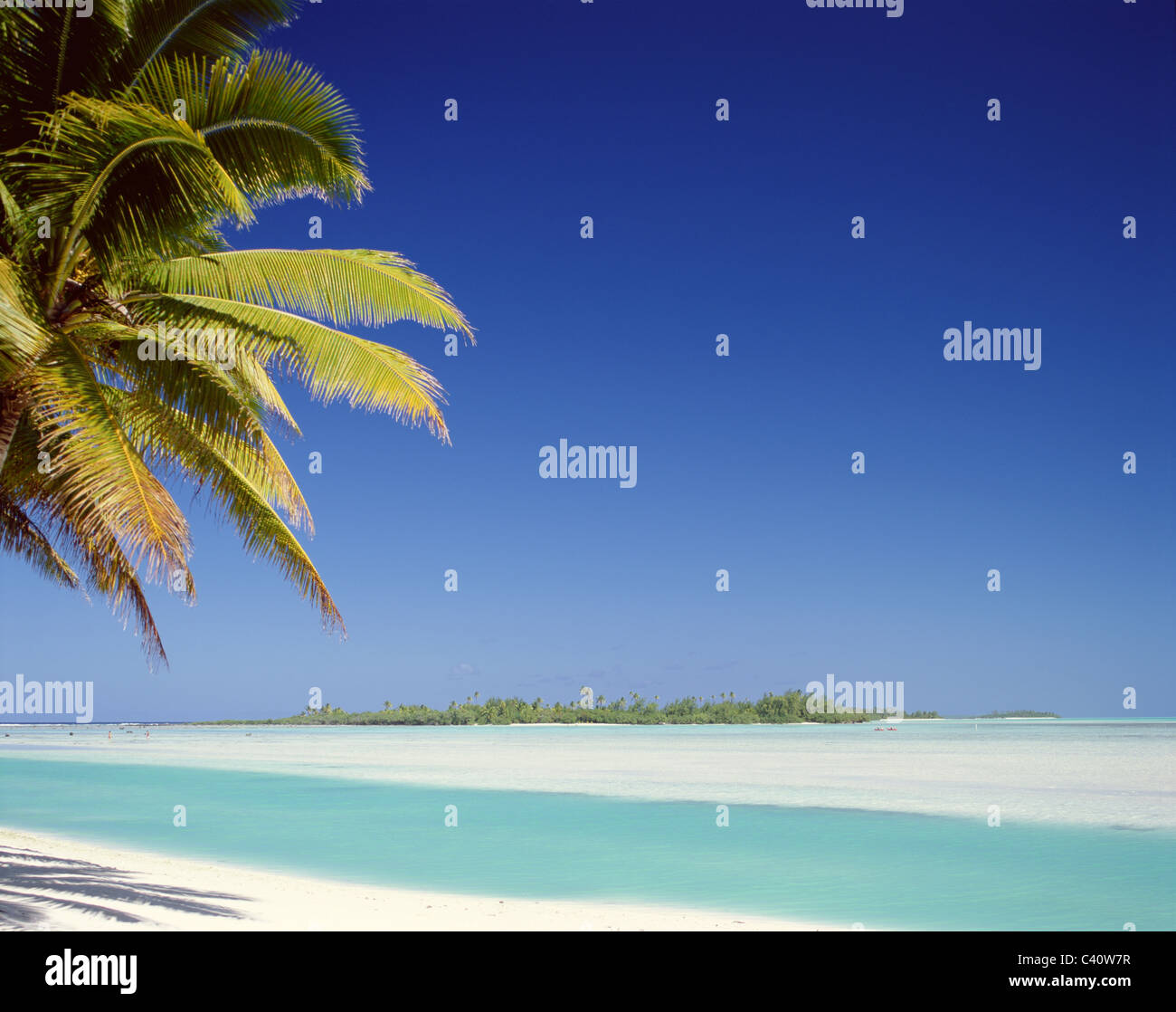 Aitutaki, Atoll, Beach, Cook islands, Holiday, Island, Landmark, Palm ...