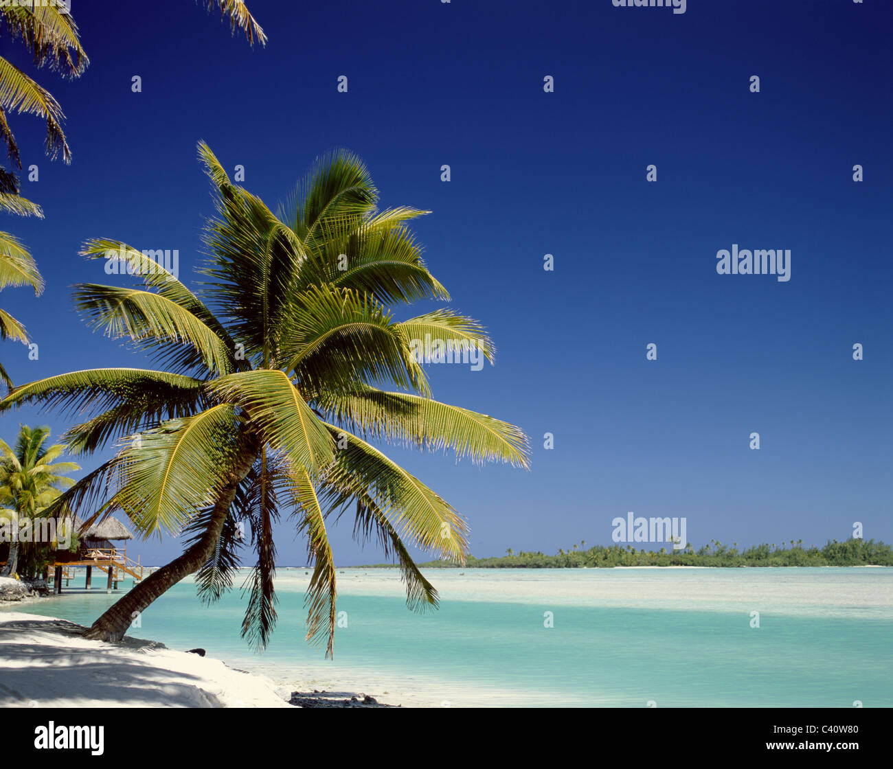 Aitutaki, Atoll, Beach, Cook islands, Holiday, Island, Landmark, Palm ...