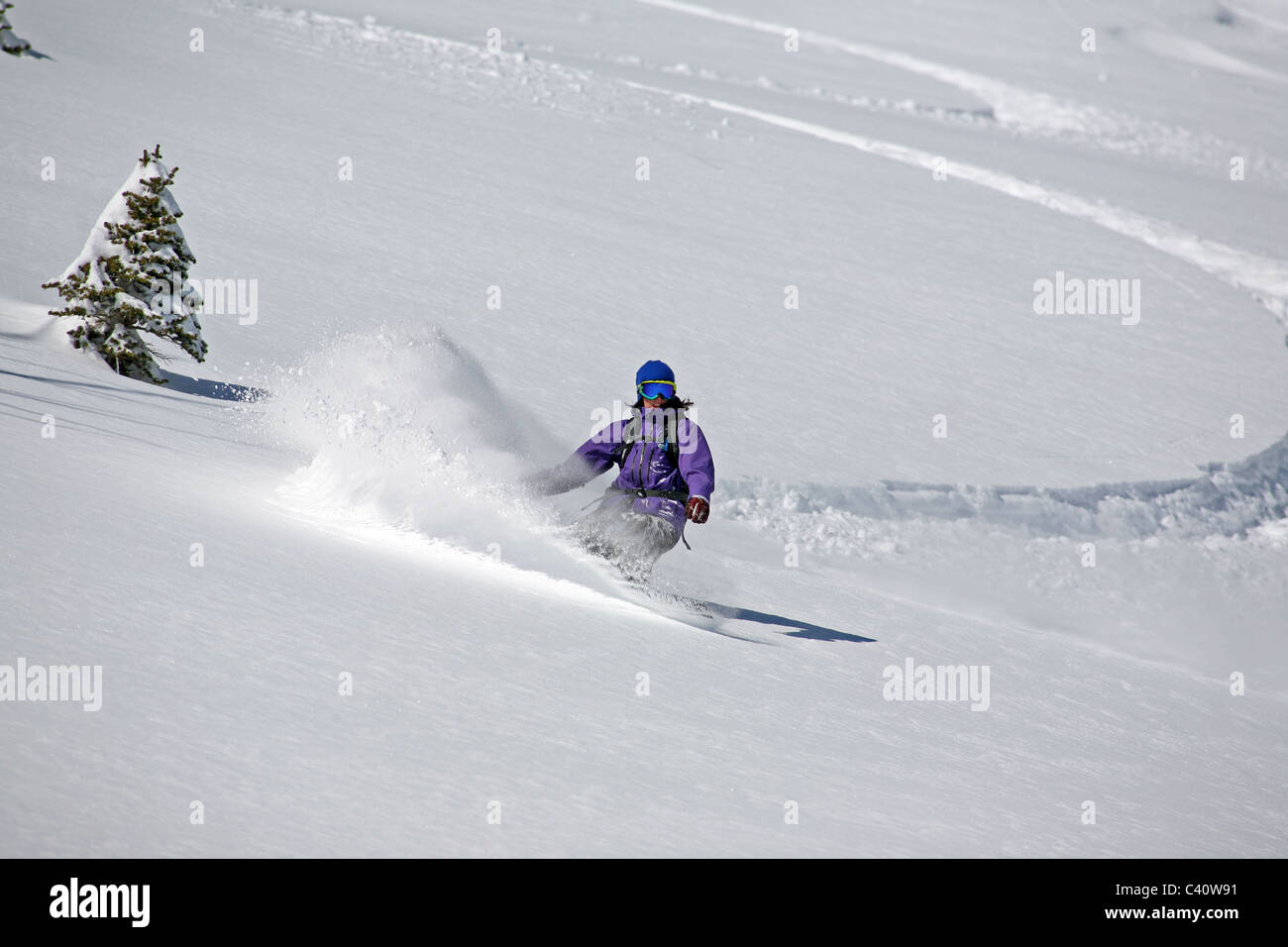 Female snowboarder enjoys fresh powder off piste at Brighton Ski Resort ...