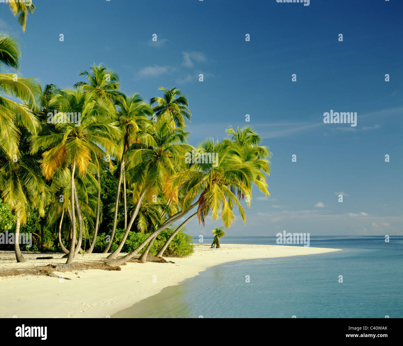 Atoll, Beach, Holiday, Indian ocean, Landmark, Maldive islands ...