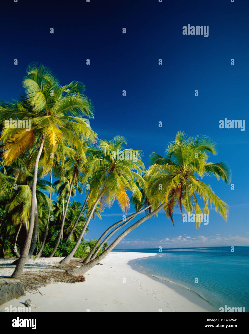 Atoll, Beach, Holiday, Indian ocean, Landmark, Maldive islands ...