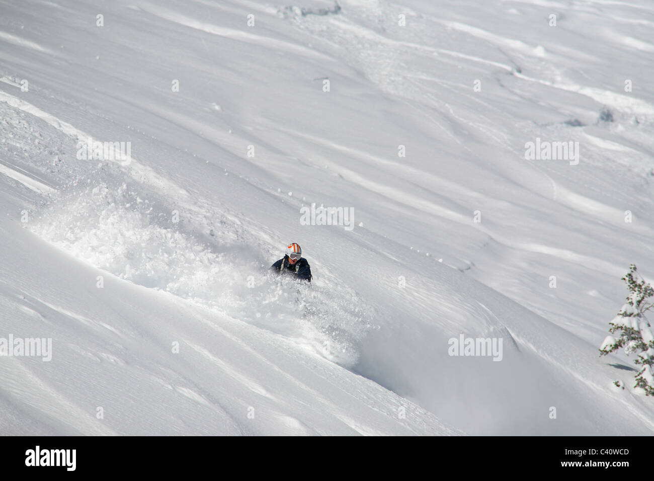Snowboarder in powder hi-res stock photography and images - Alamy