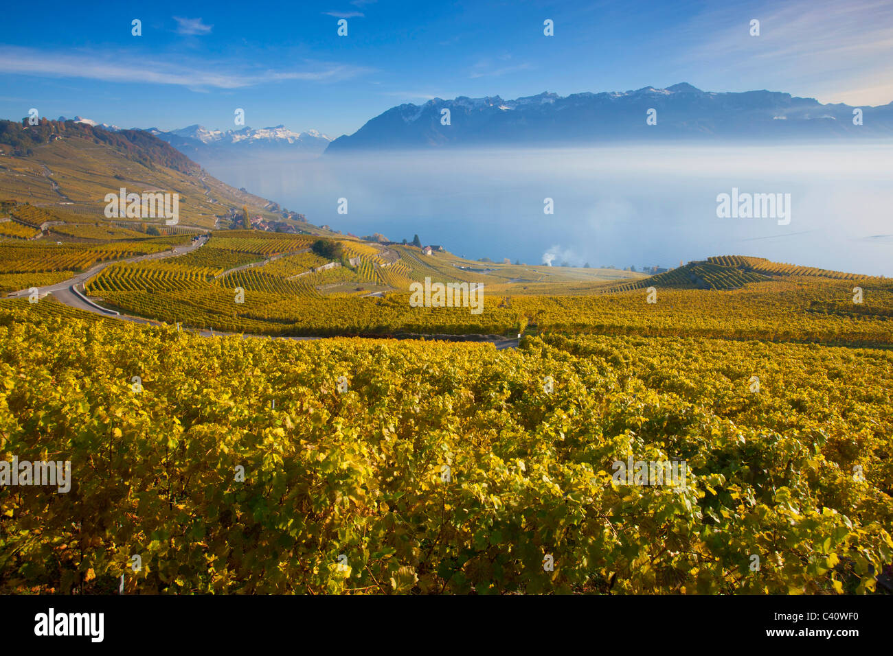 Epesses hi-res stock photography and images - Alamy