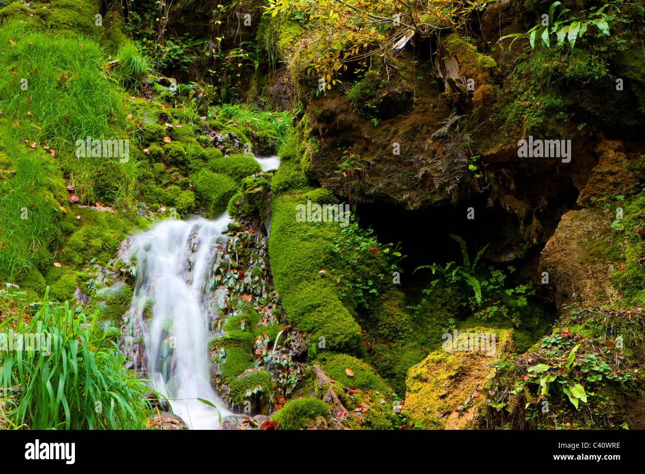 Le Theusseret, Switzerland, Europe, canton Jura, brook, moss, tuff ...