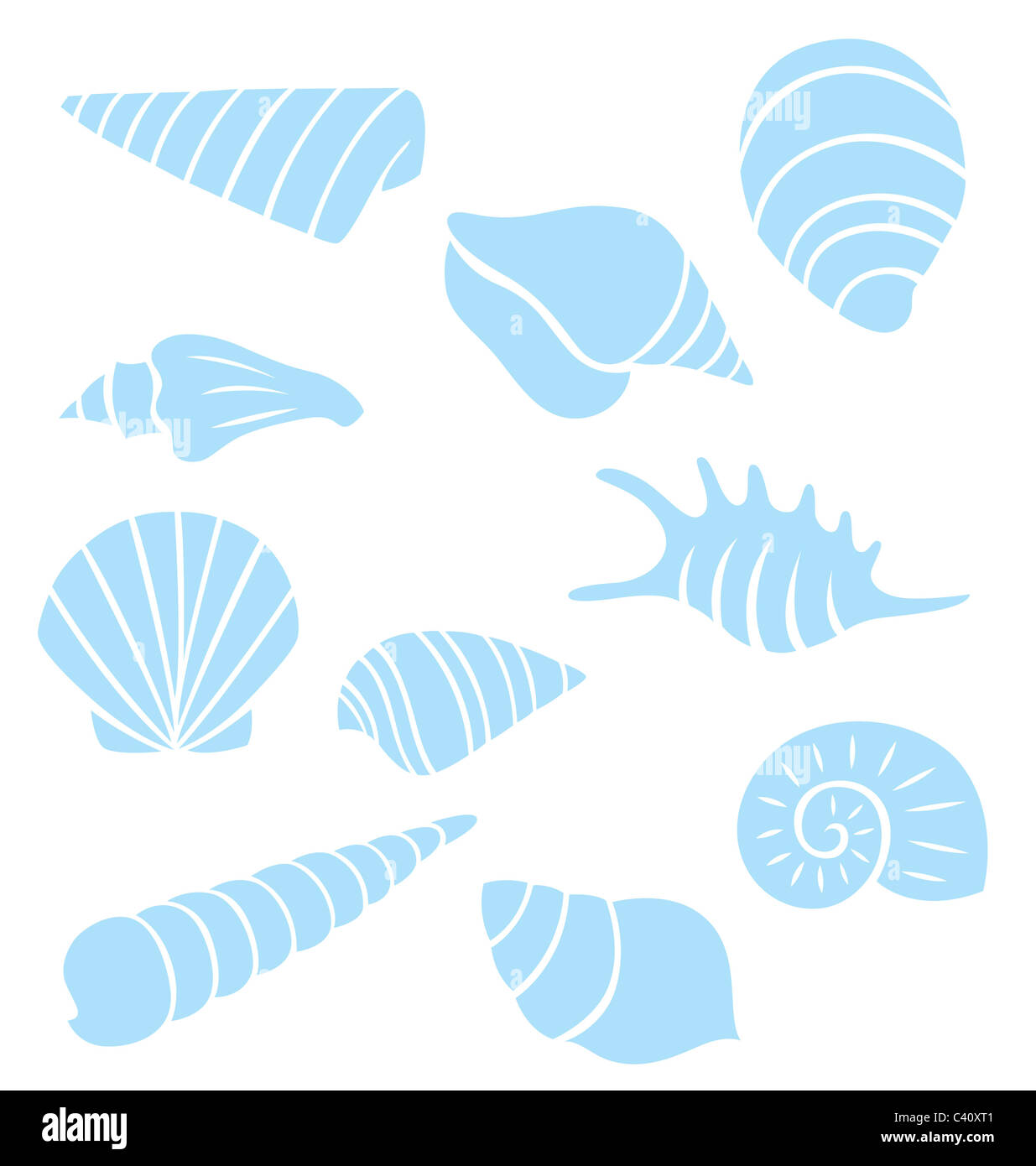 A collection of variety of sea shell in blue Stock Photo - Alamy