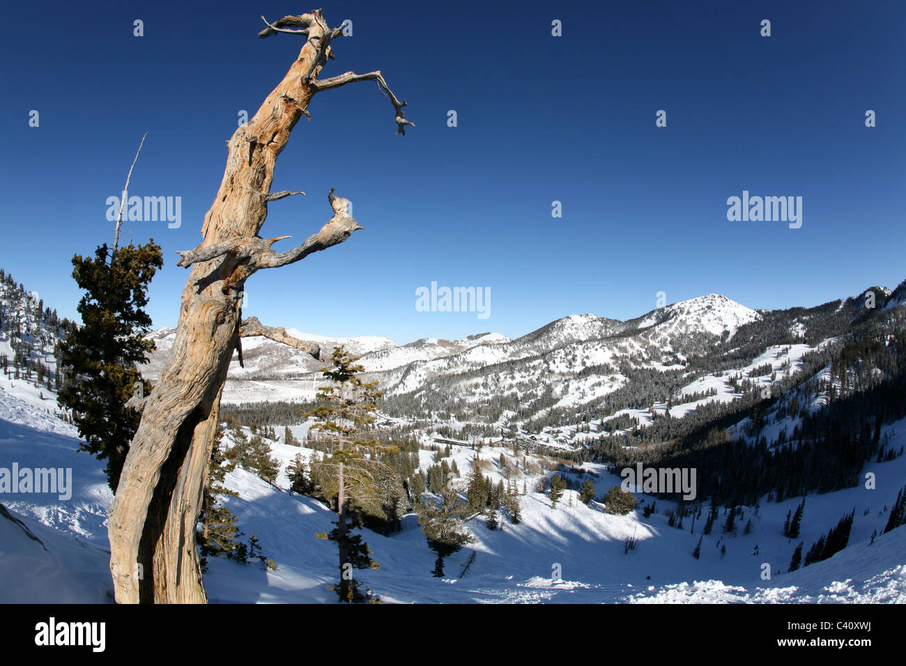 Late afternoon overview of Brighton ski resort. Salt Lake City, Utah ...