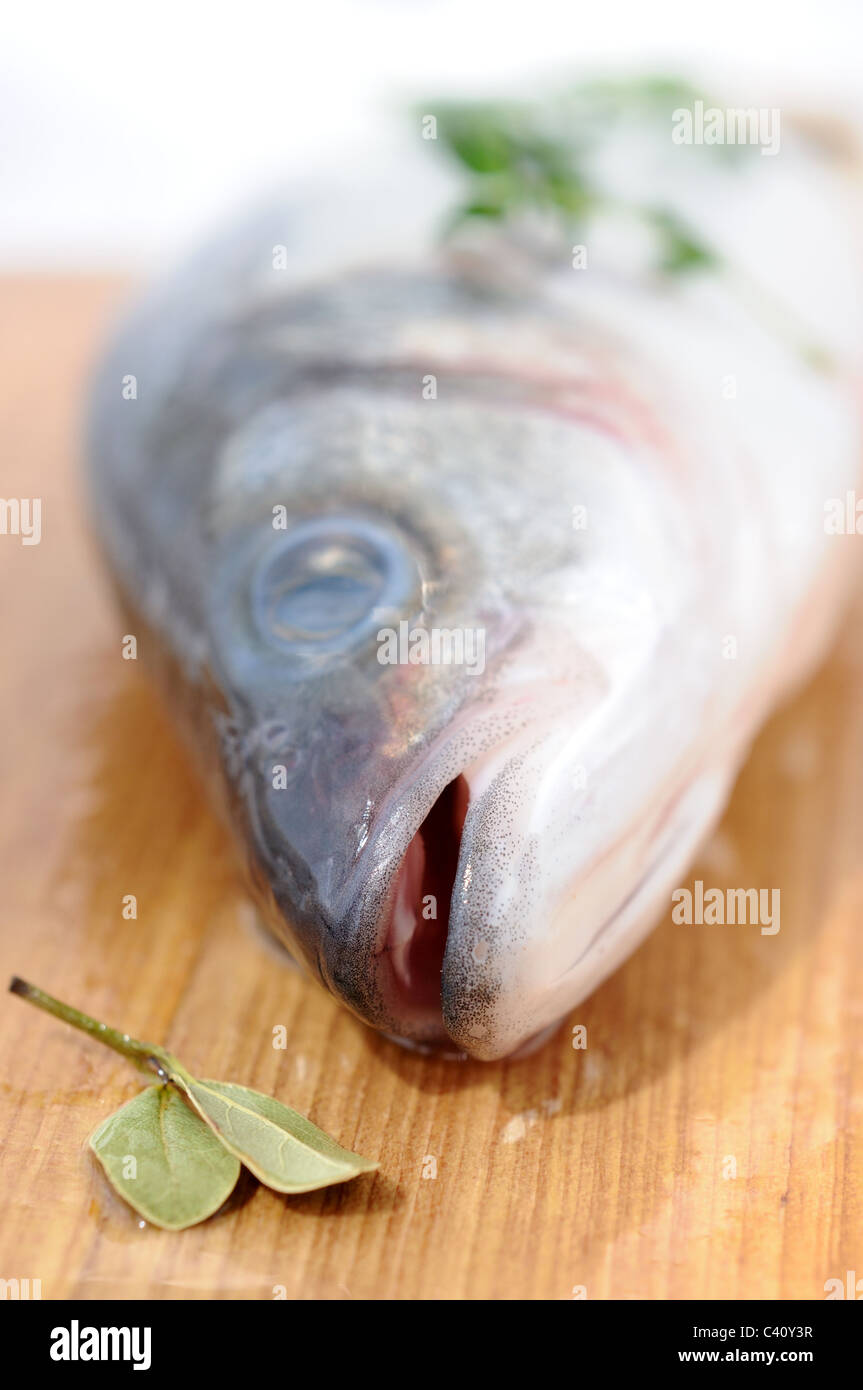 Striped bass hi-res stock photography and images - Alamy