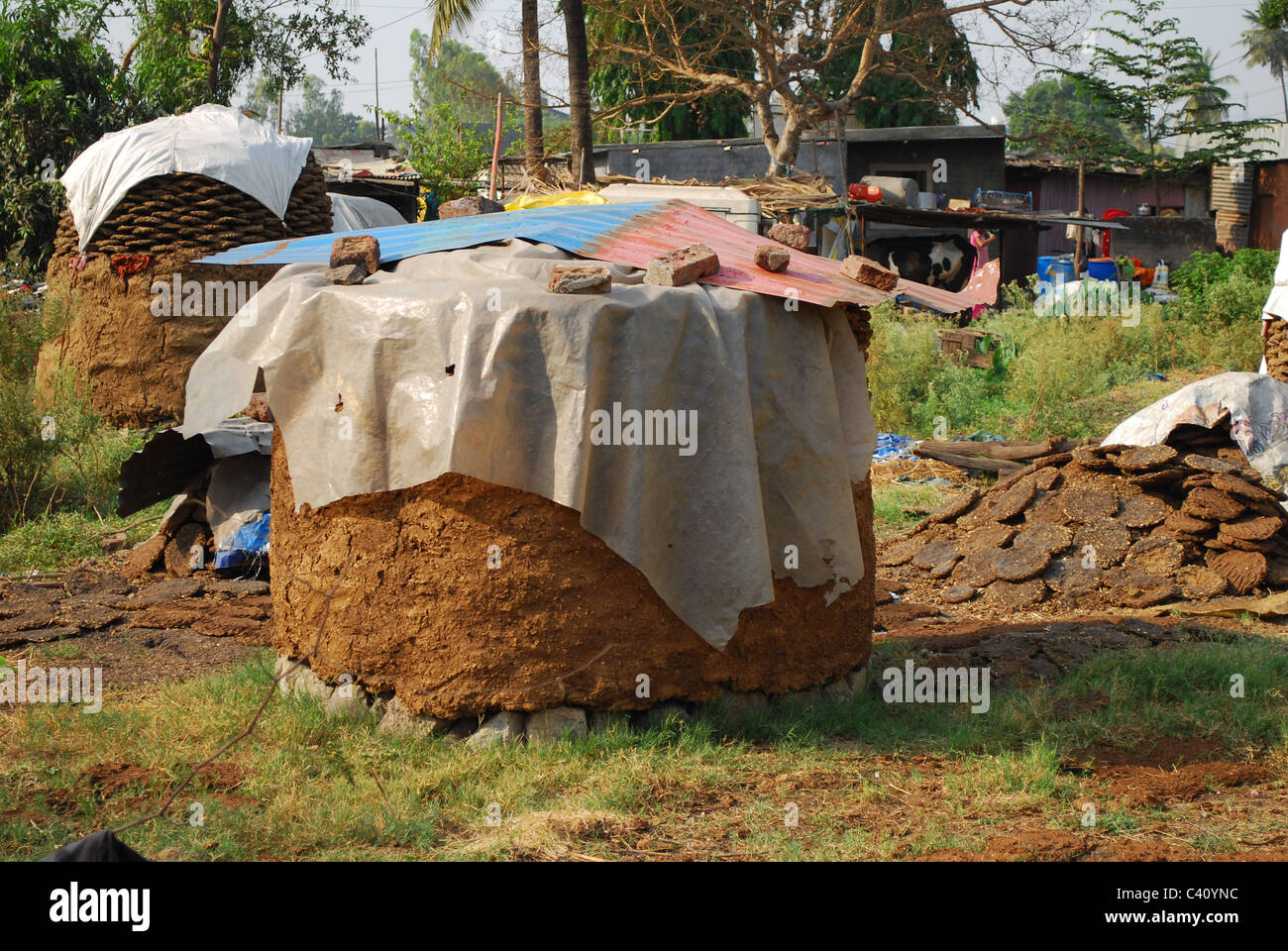 a dung cake Stock Photo - Alamy