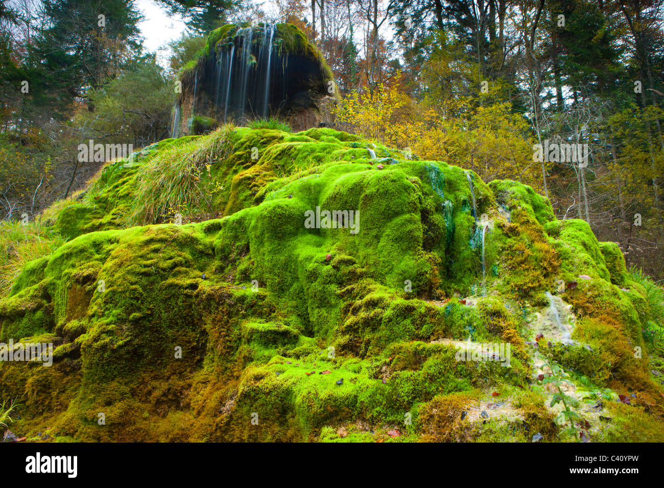 Tuff spring hi-res stock photography and images - Alamy