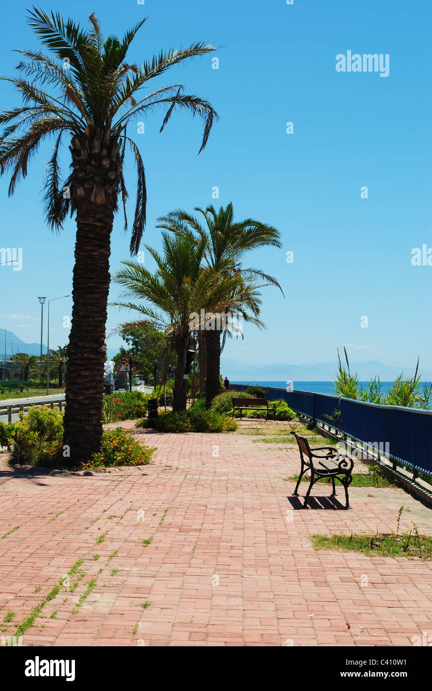 bench and palm trees Stock Photo - Alamy