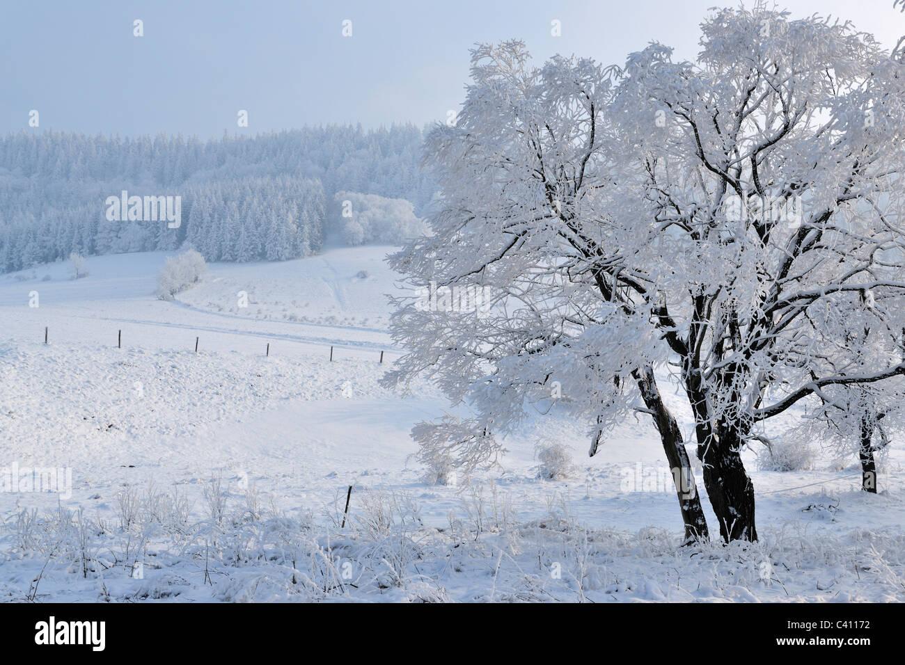 January cold climate hi-res stock photography and images - Alamy