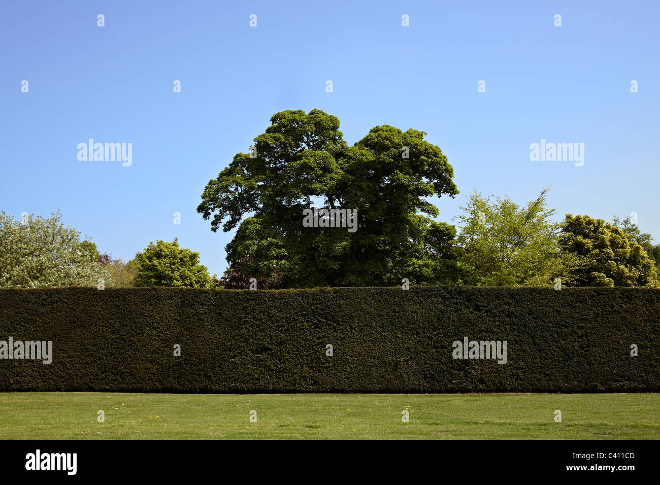 Sky garden visit hi-res stock photography and images - Alamy