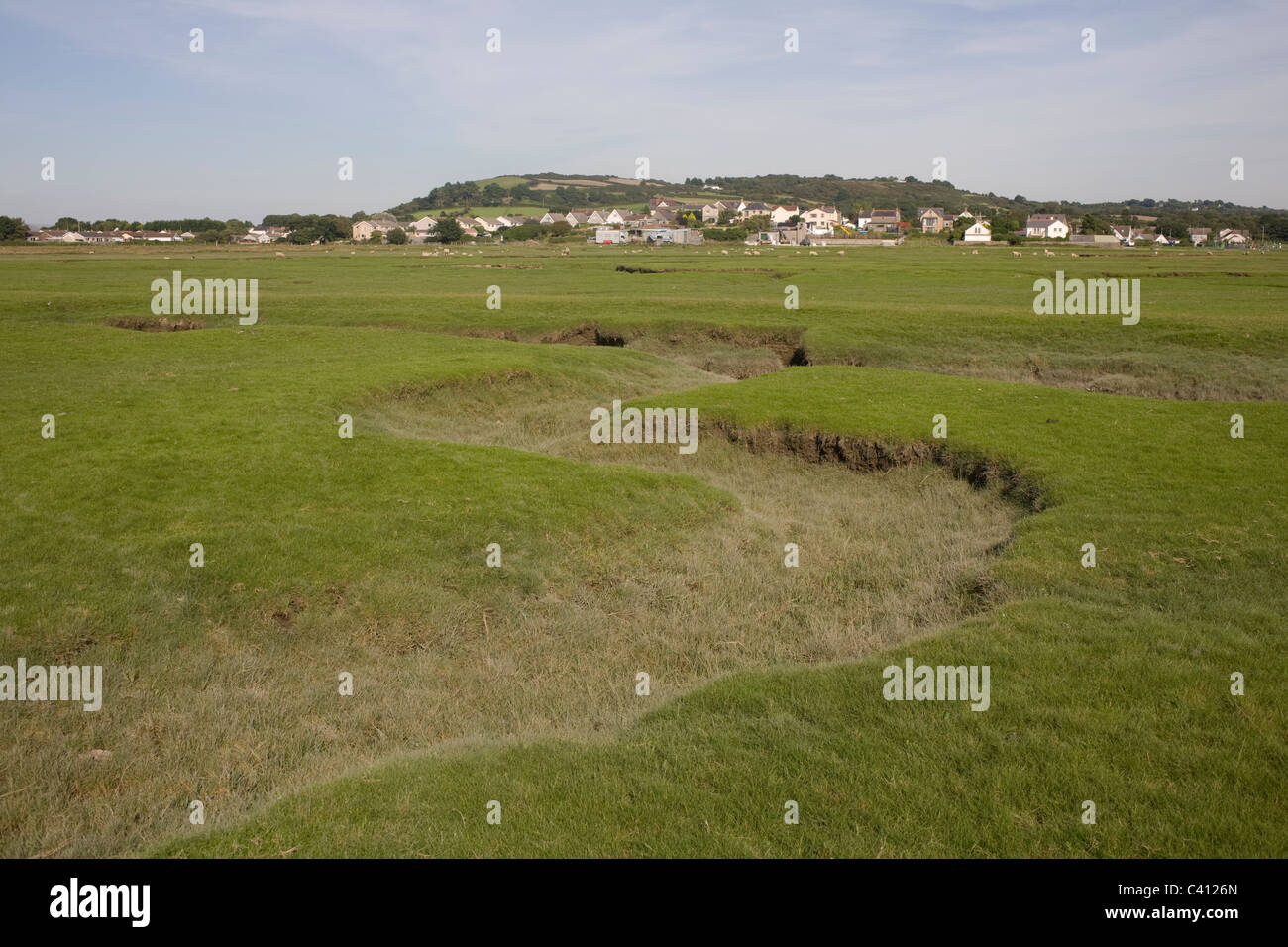 Village of Crofty beyond grassy salt marsh on Gower, West Glamorgan ...