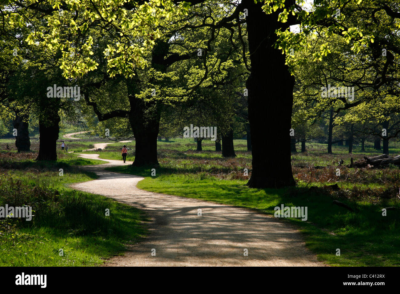 Broomfield hill richmond hi-res stock photography and images - Alamy
