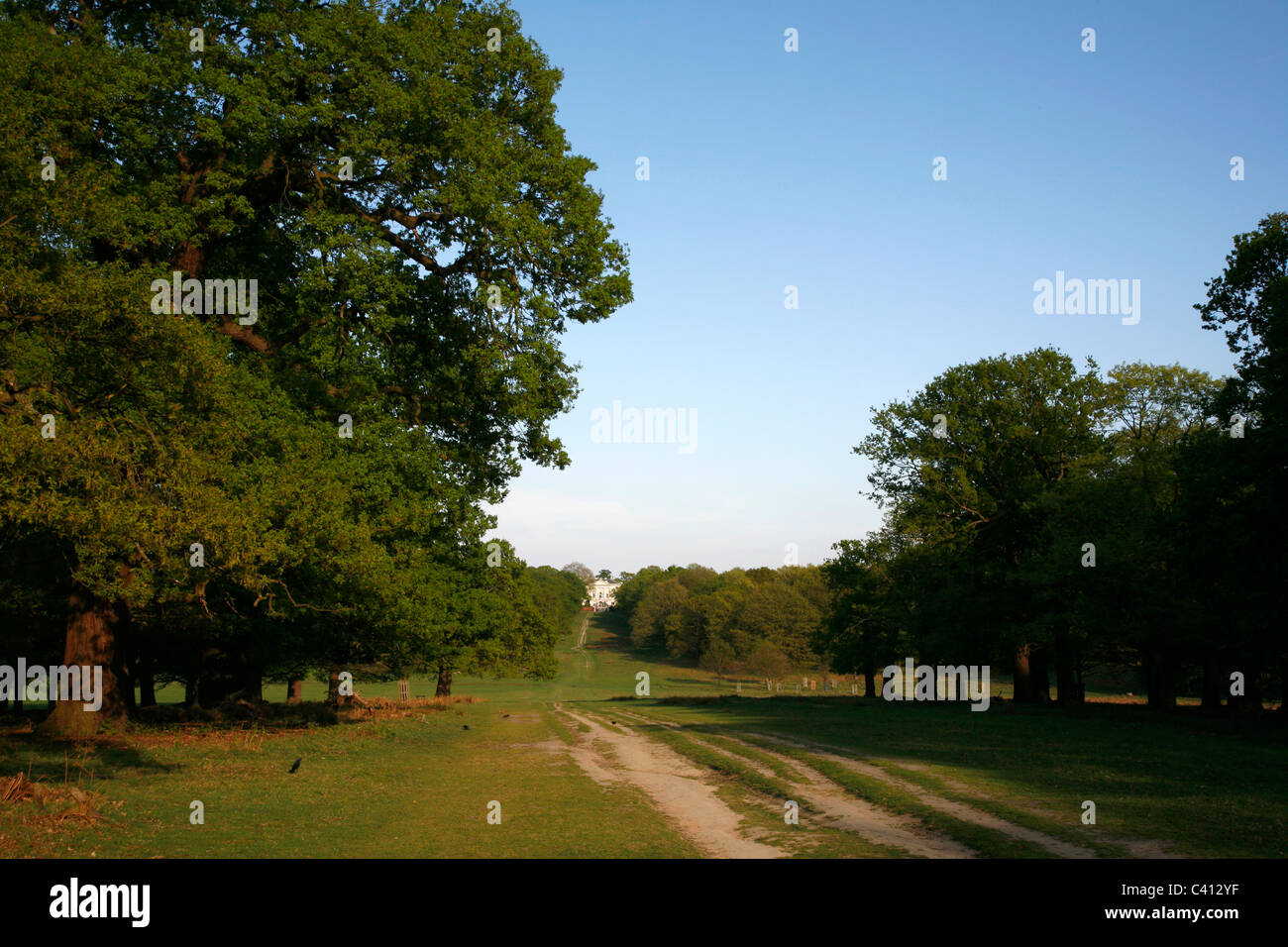 View along the Queen's Ride to White Lodge, Richmond Park, London, UK ...