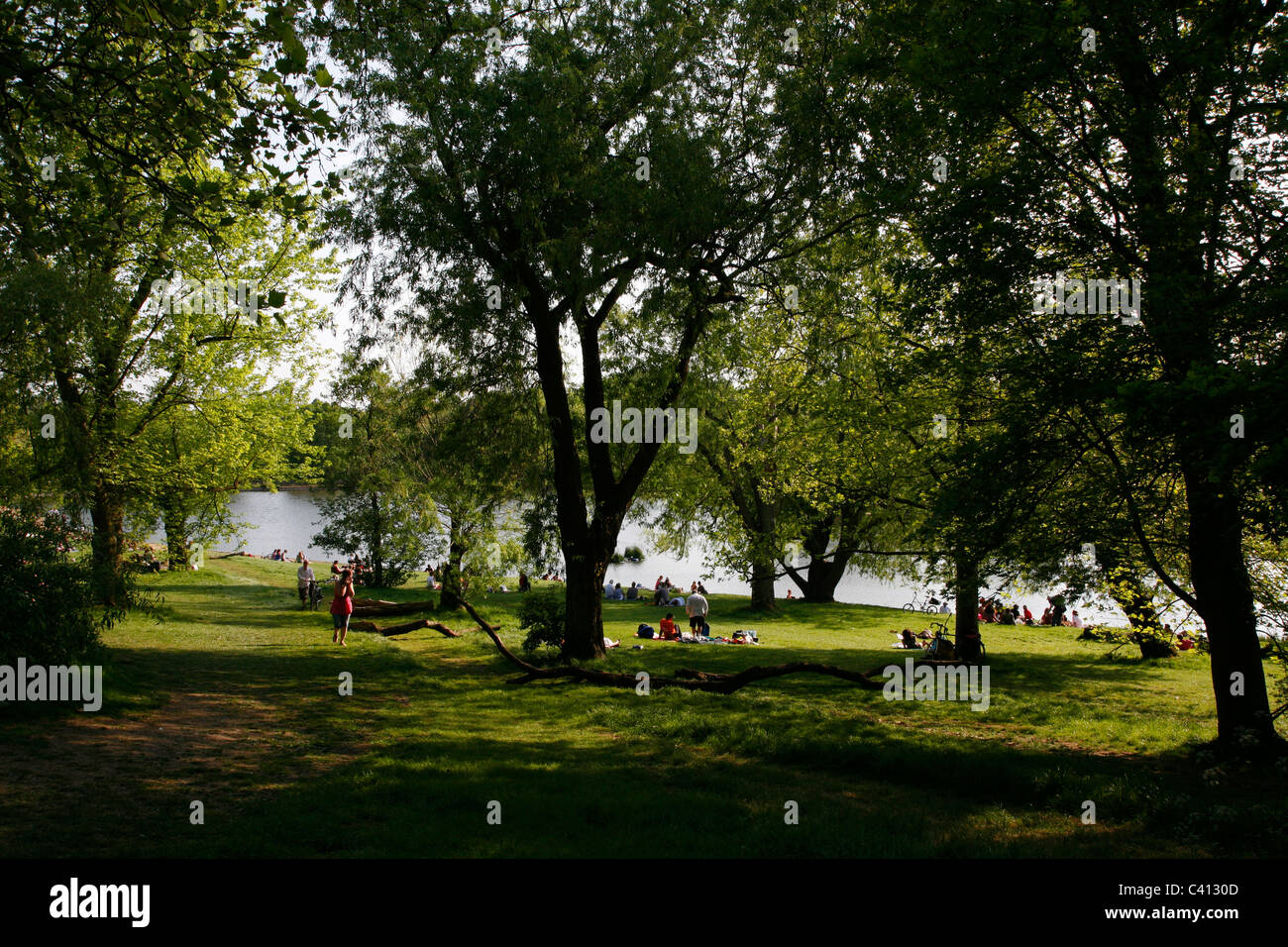 Hampstead ponds pond hi-res stock photography and images - Alamy
