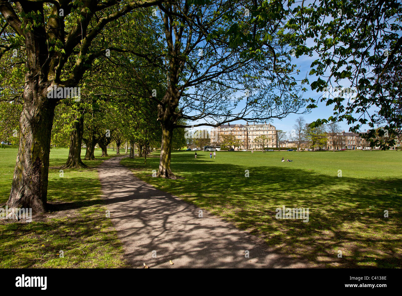 The Stray in Spring, Harrogate, North Yorkshire Stock Photo - Alamy