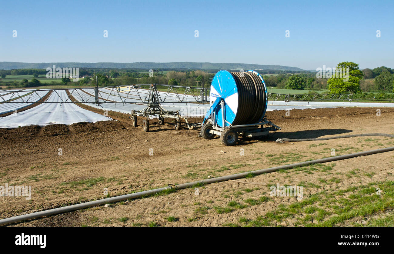 Intensive farming in the South of England covers acres of the land with ...