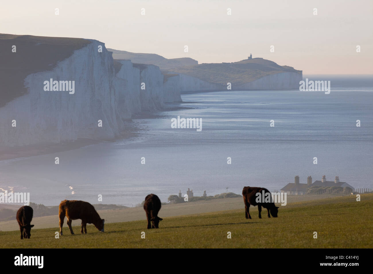 UK, United Kingdom, Great Britain, Britain, England, Sussex, Eastbourne ...