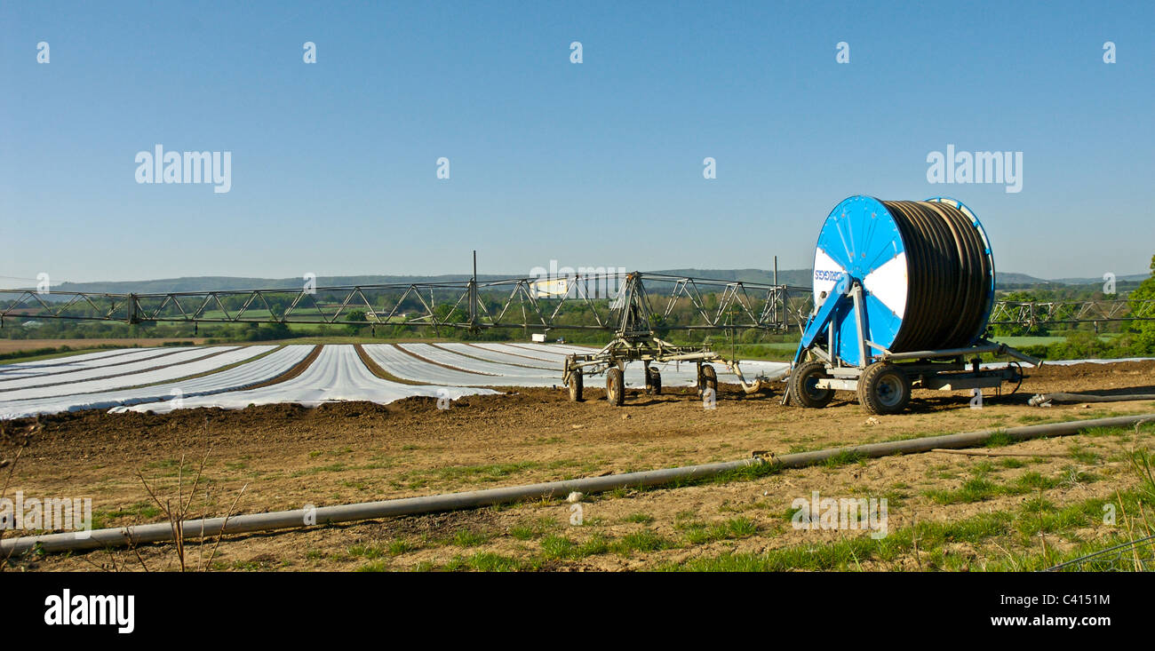 Intensive farming in the South of England covers acres of the land with ...