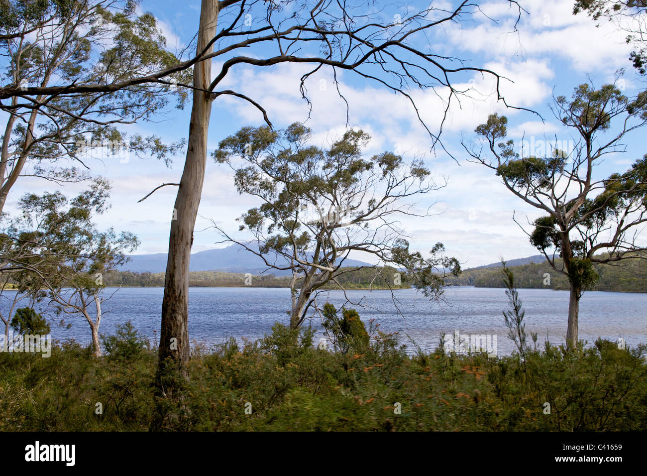 Ida Bay Railway Tasmania, Australia. Start of summer, 2010 Stock Photo ...