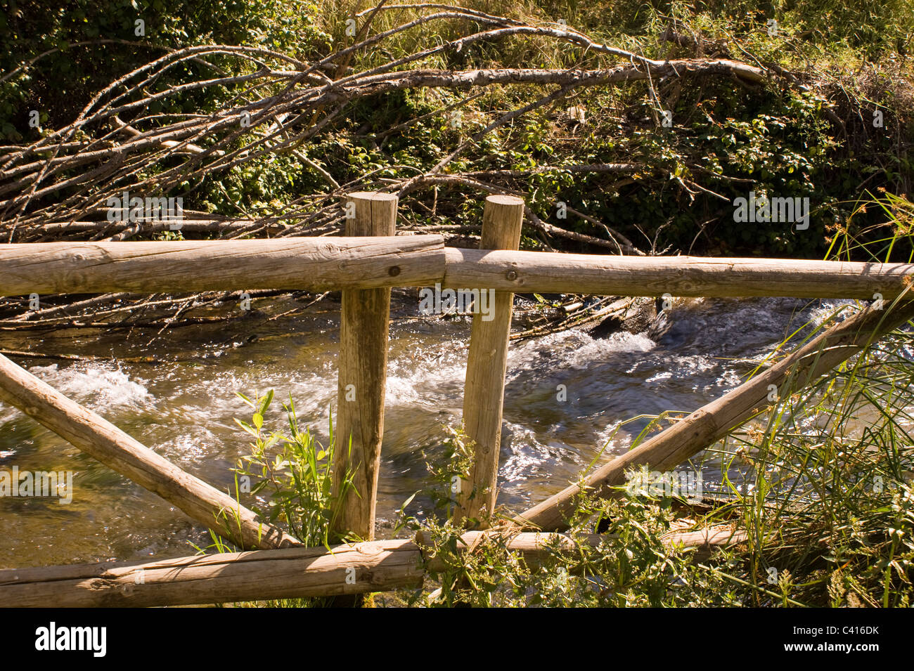 THE CLEAR WATERS OF THE RIO FRIO MEANDERING THEIR WAY DOWNSTREAM PAST ...