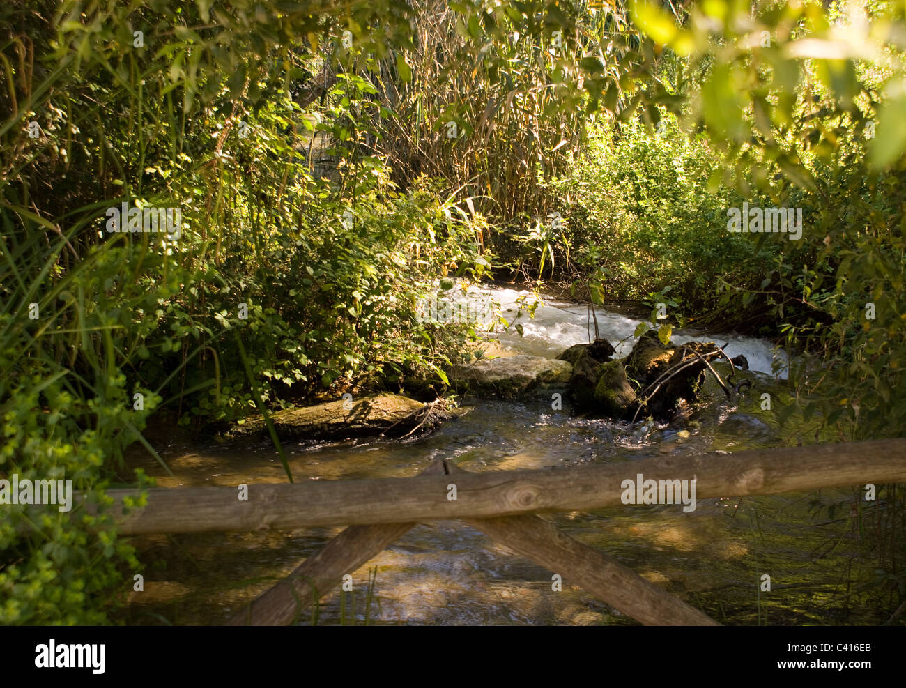 THE CLEAR WATERS OF THE RIO FRIO MEANDERING THEIR WAY DOWNSTREAM PAST ...