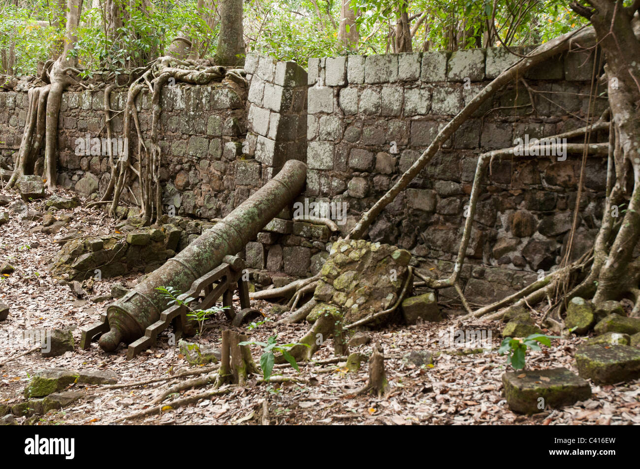 Cabrits national park hi-res stock photography and images - Alamy