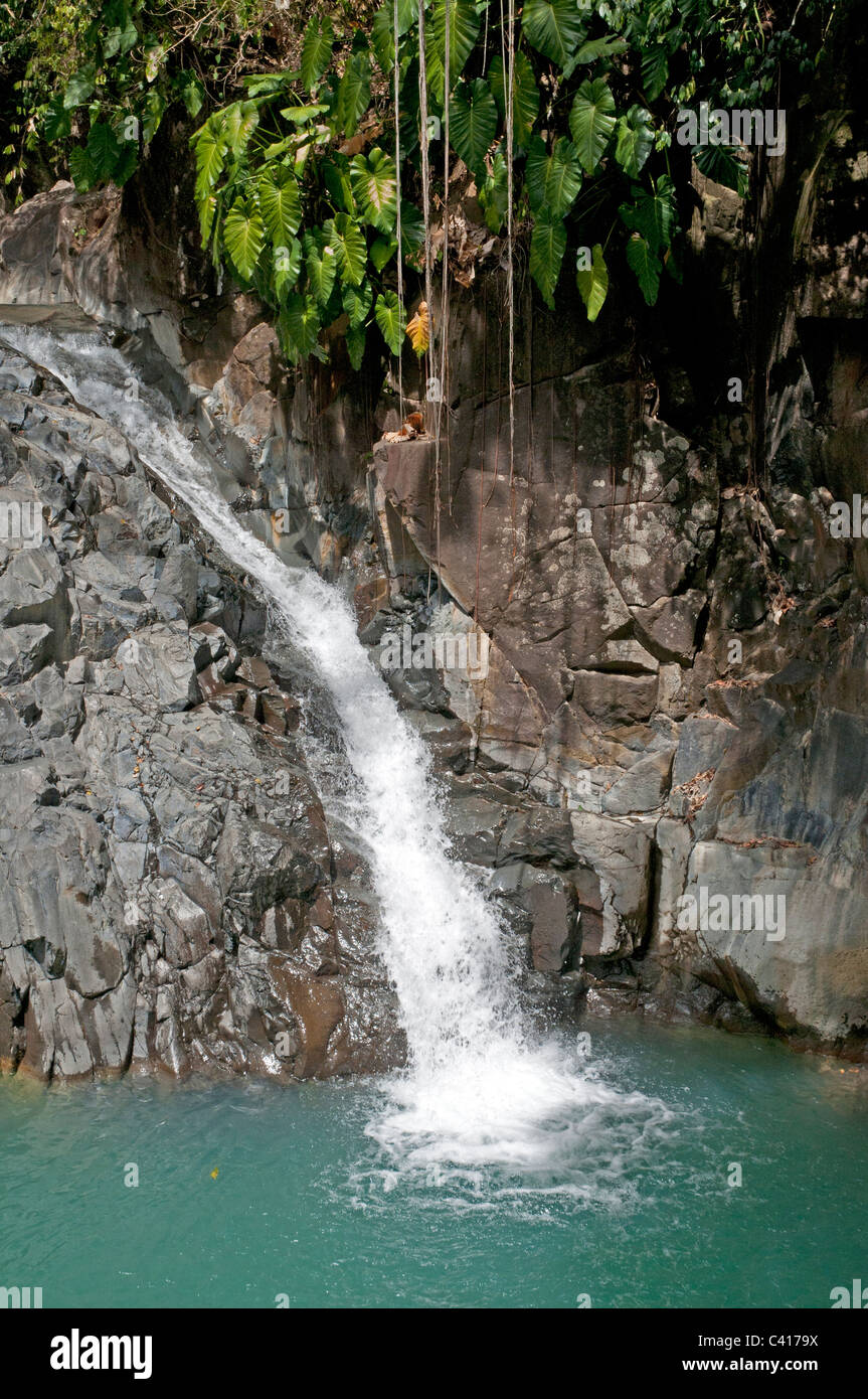Guadeloupe - West French Indies - Acomat falls Stock Photo - Alamy