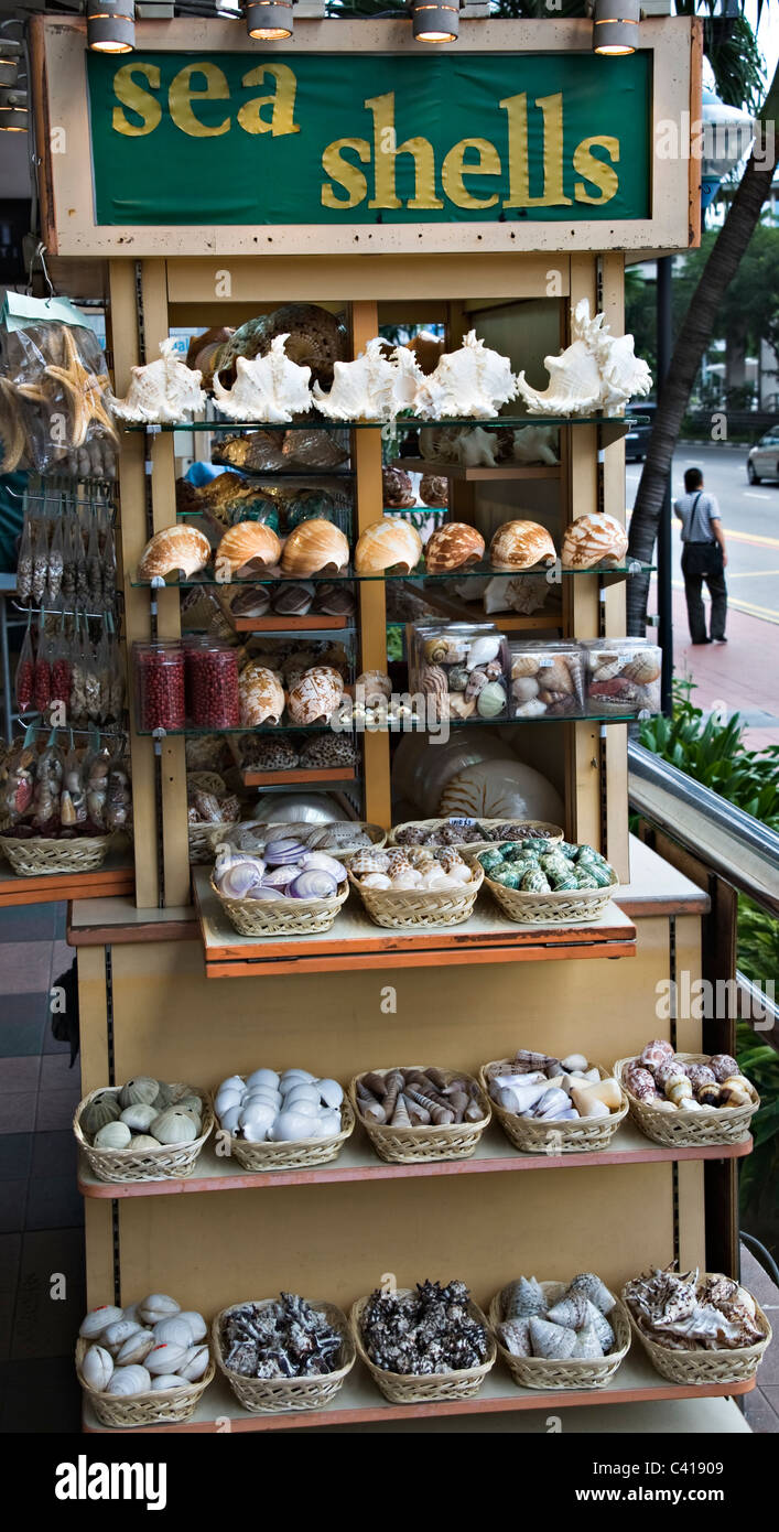 A Stall Selling Sea Shells in a Street Market Area in Chinatown ...