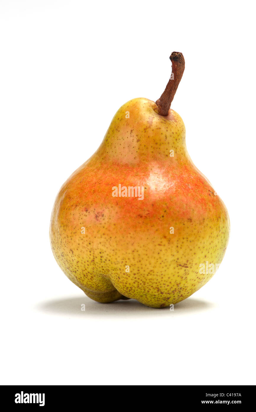 William pear with union jack flag Stock Photo - Alamy