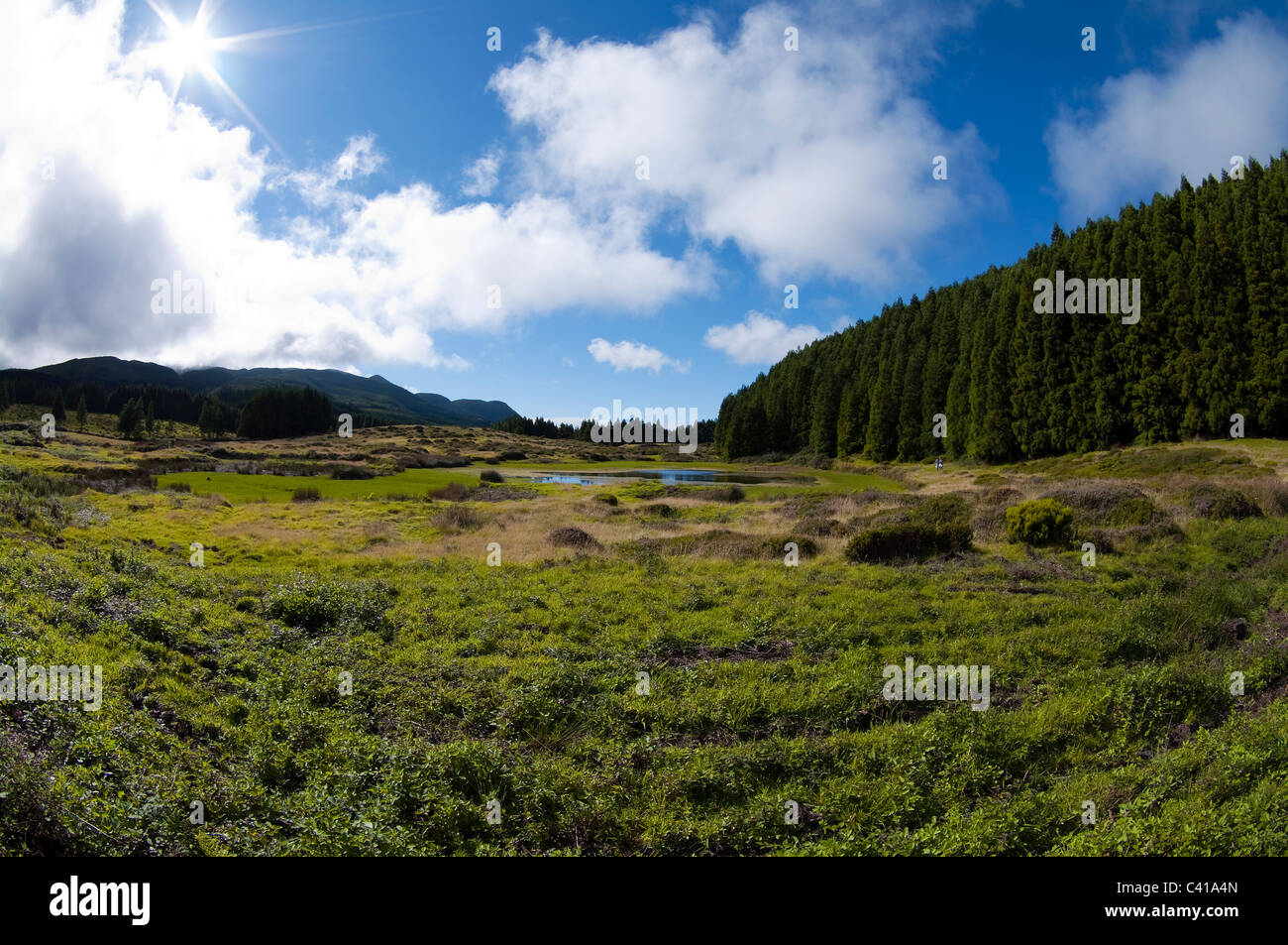 This is called the "Lagoa do Negro" (Black Lagoon) in Terceira Island ...