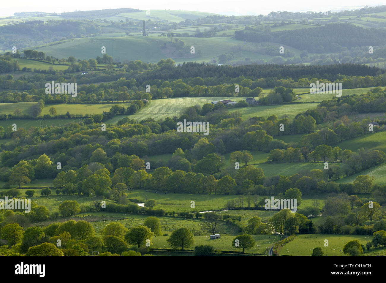 A Welsh tree lined valley Stock Photo - Alamy