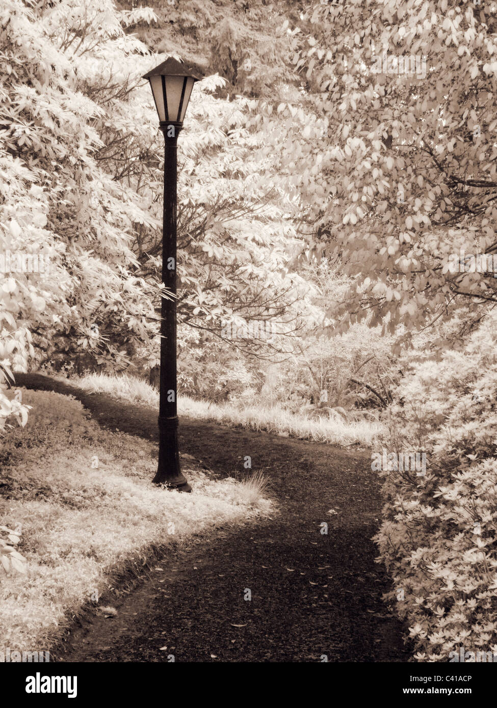 Park path & lamp post photographed in Infrared Stock Photo - Alamy