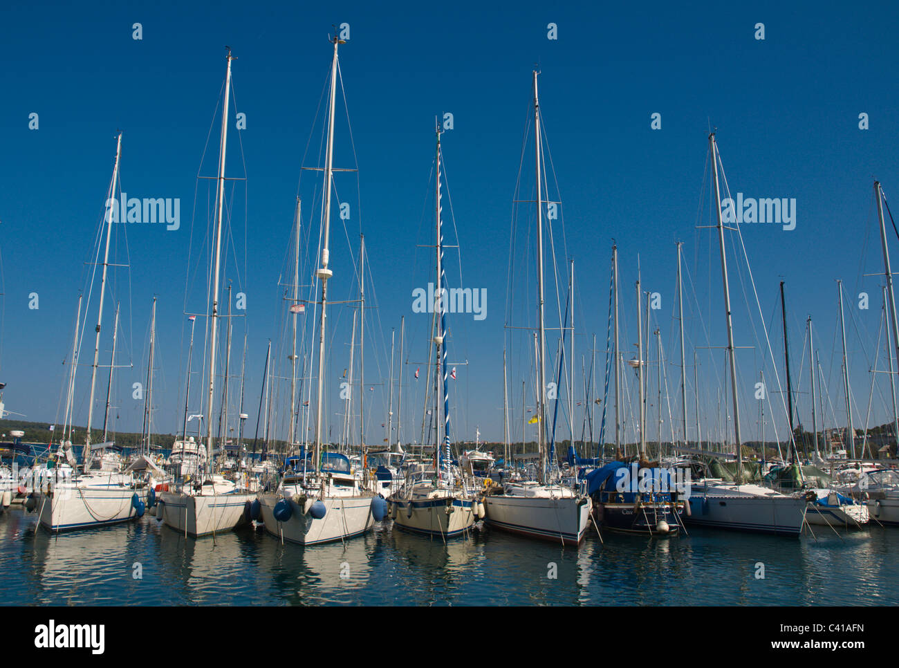 Yachts in Marina the port Pula the Istrian peninsula Croatia Europe ...