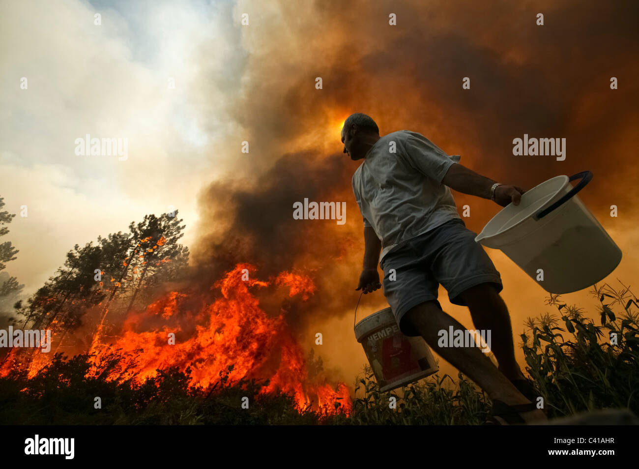 Desperate man trying to put out a raging wildfire with buckets of water ...