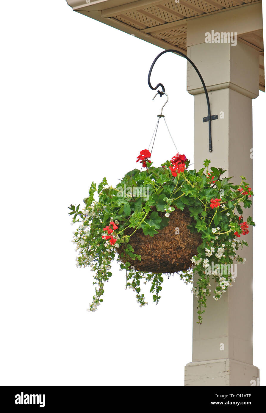 Geranium hanging basket hi-res stock photography and images - Alamy