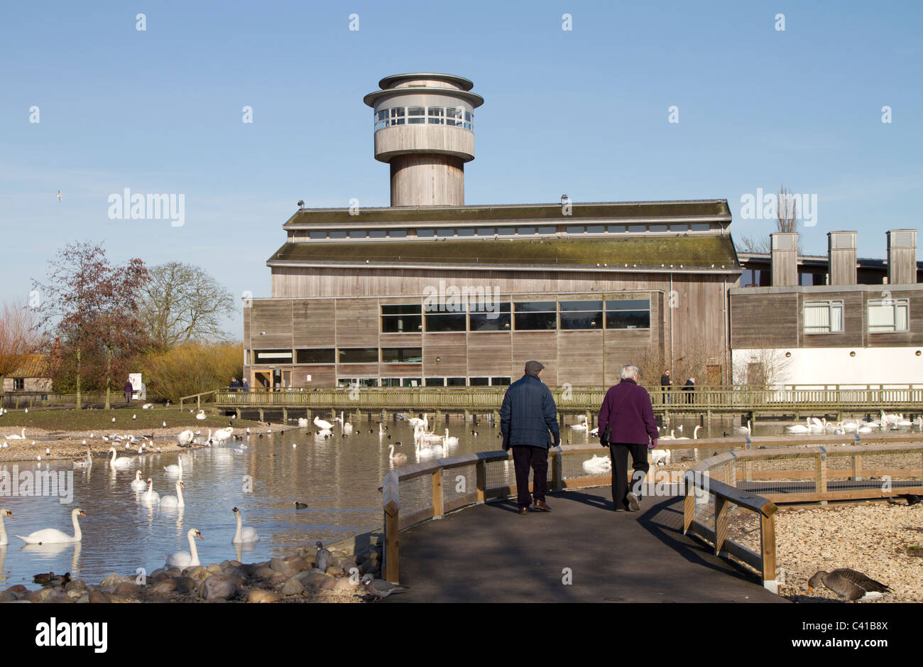 Slimbridge england hi-res stock photography and images - Alamy