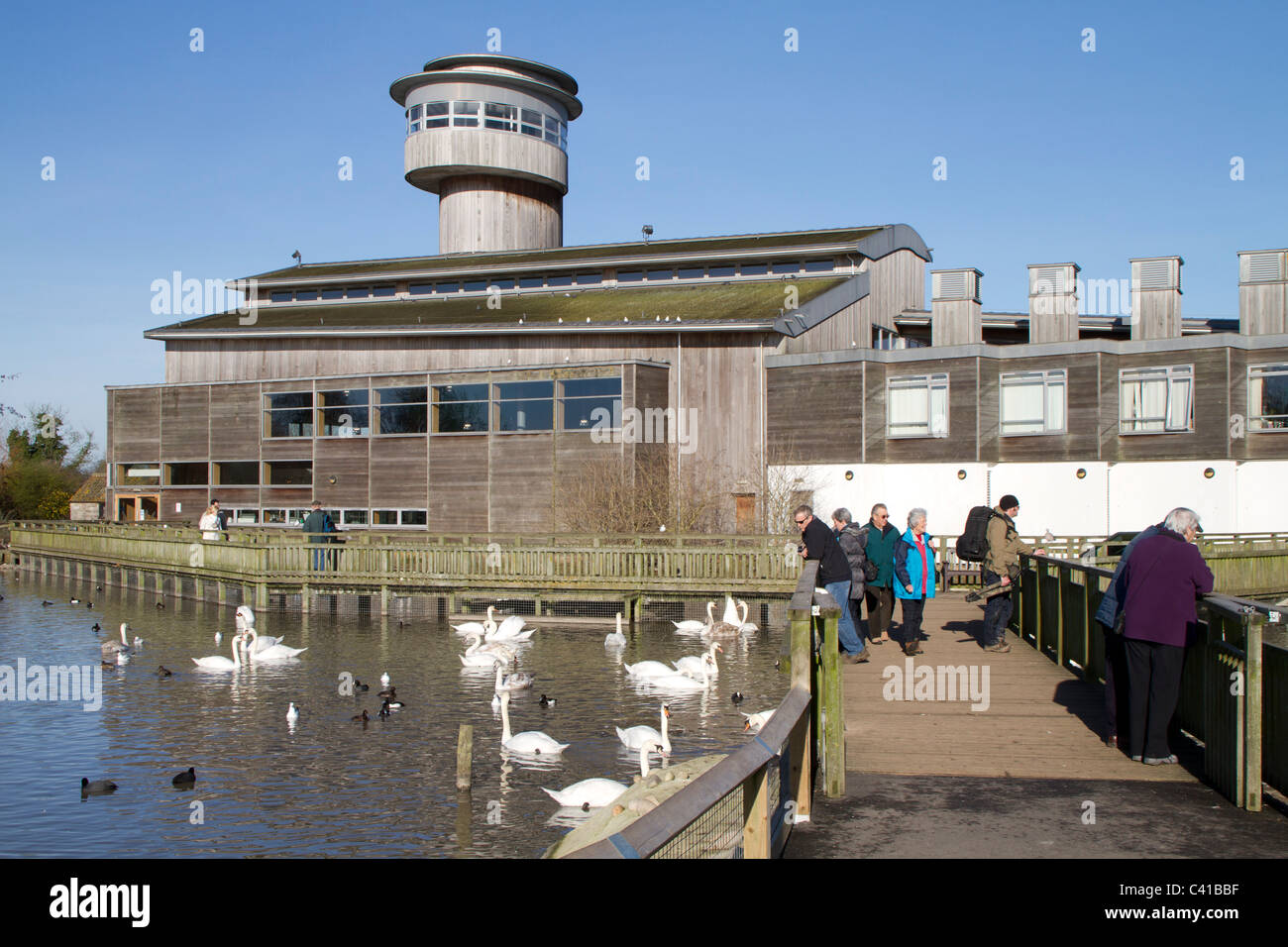 Slimbridge hi-res stock photography and images - Alamy