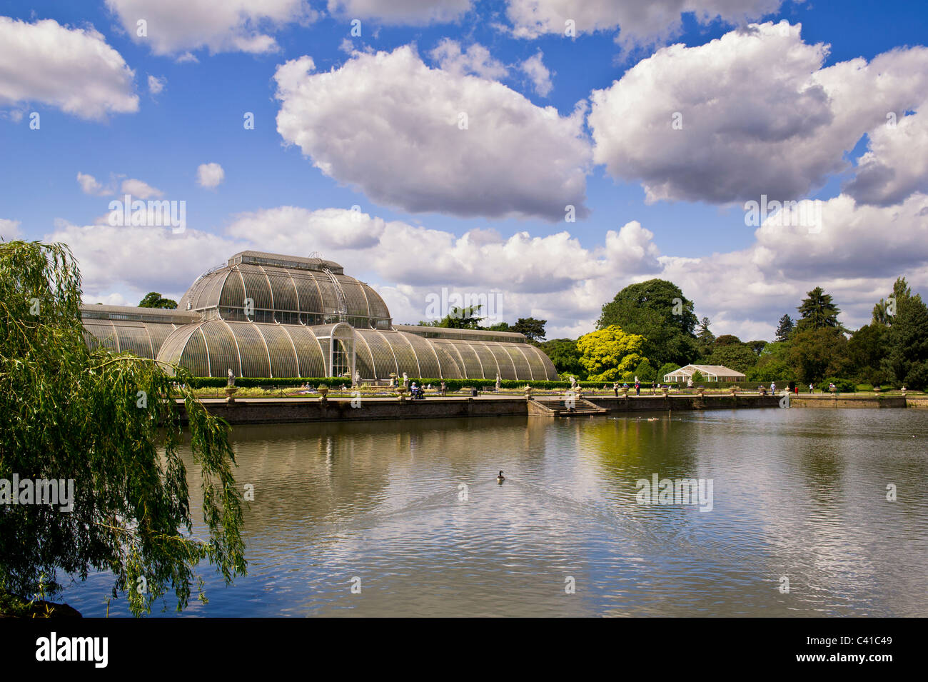 Kew gardens palm house pond hi-res stock photography and images - Alamy
