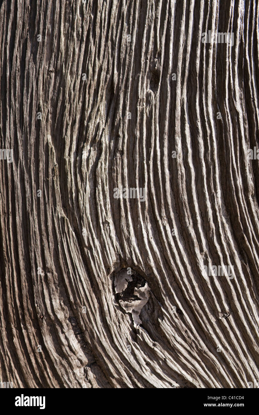 Cross grained wood hi-res stock photography and images - Alamy