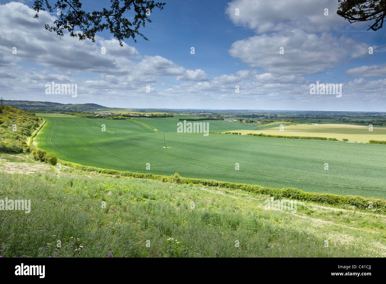 Dunstable hi-res stock photography and images - Alamy