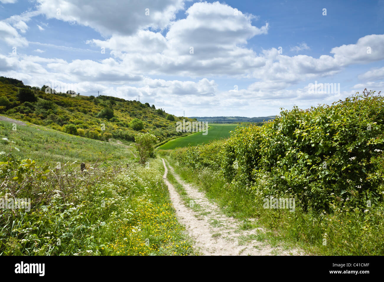 Dunstable hi-res stock photography and images - Alamy