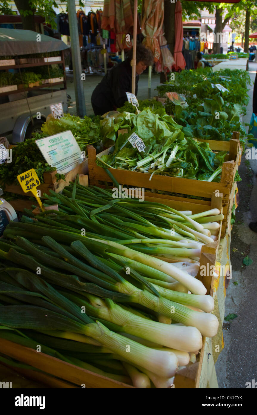 Leek market square hi-res stock photography and images - Alamy