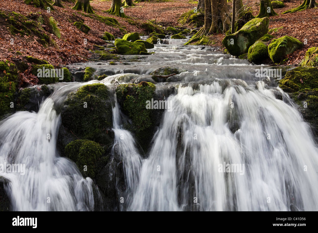 Small river and waterfall over rocks, running through a wooded area ...