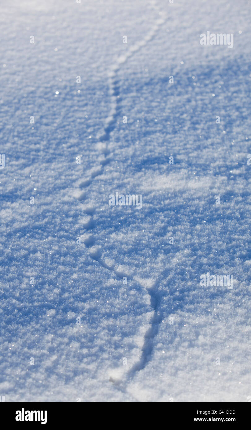 Mouse tracks hi-res stock photography and images - Alamy
