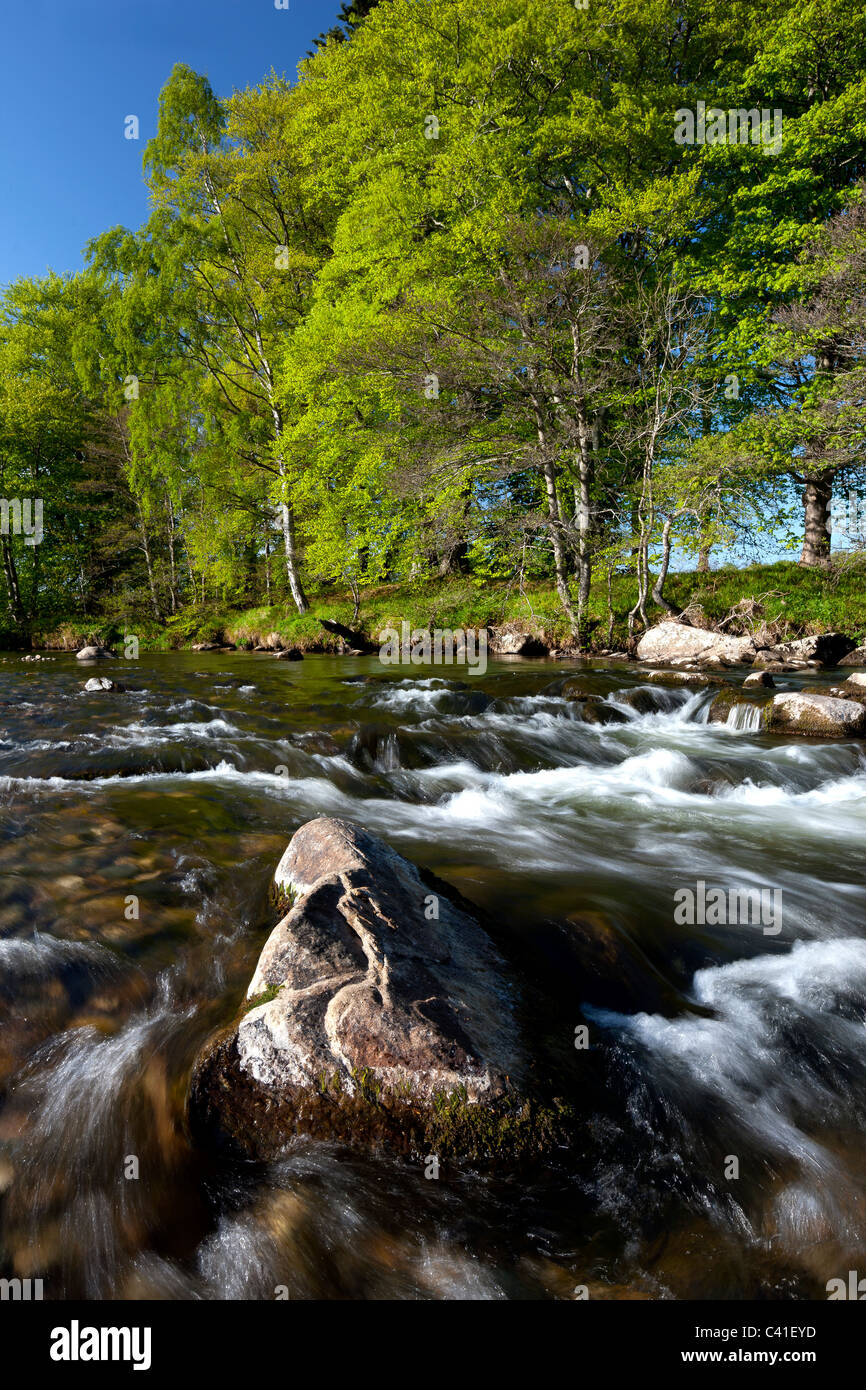 Springtime view of the River Deveron near Huntly, Aberdeenshire ...